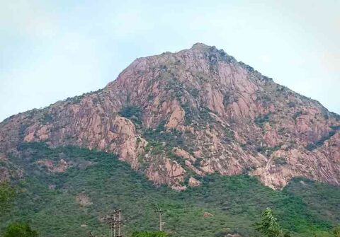 Karur weather temperature today hourly now - Mykarur.com