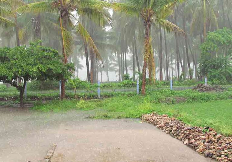 Karur weather temperature today hourly now - Mykarur.com