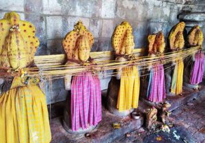 Karur district Guide - Mykarur.com